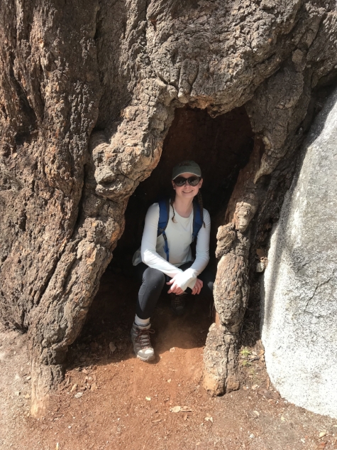 Tallo Top 100 Spotlight: Laura Mulrooney - Tallo